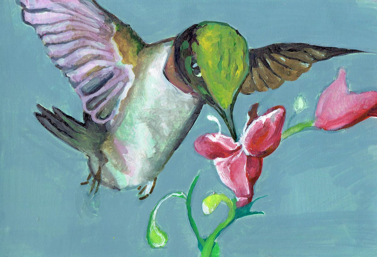 How The Hummingbirds Helped Lighten My Grief | by Jacqueline Dooley ...