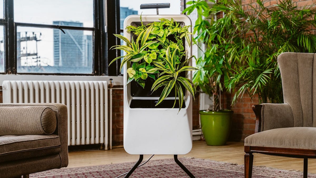 Compact Gadgets Perfect for Urban Living | by Leslie Holmes | Jan, 2025 ...