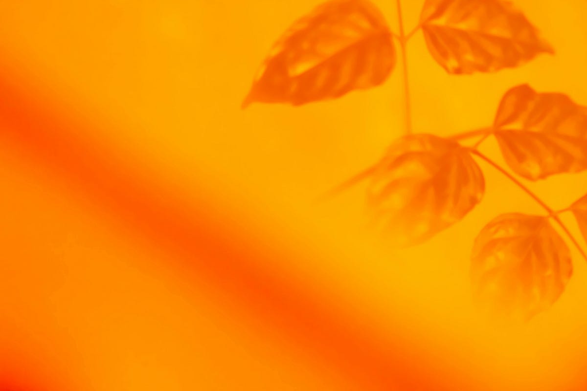 It’s Just Not Orange Enough. Rejection featuring the word orange. | by ...