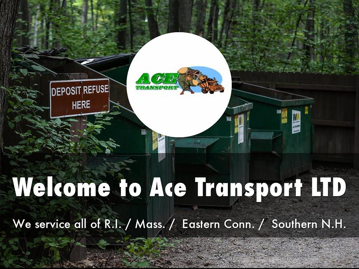 Information Presentation Of Ace Transport | by Niketan Bhatt | Medium