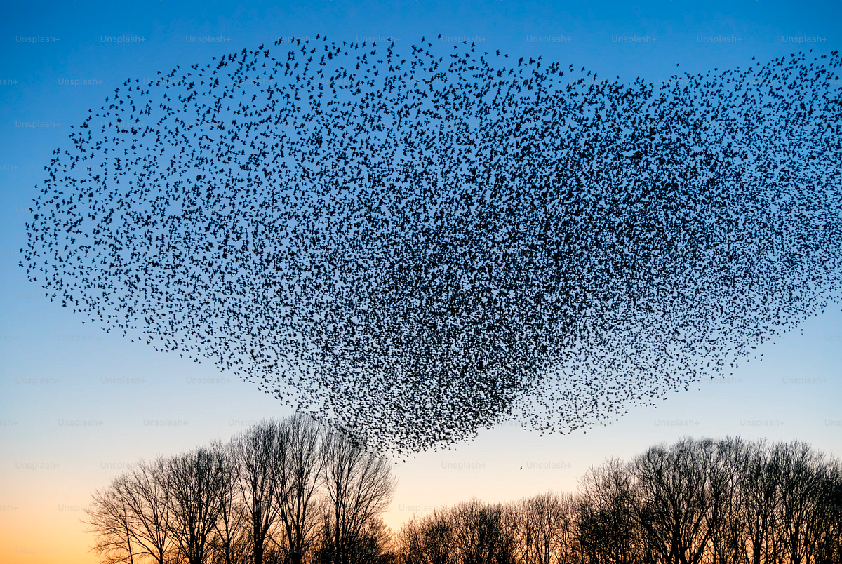 Swarm Ethics: Redefining Right and Wrong for the 21st Century | by Tijl ...