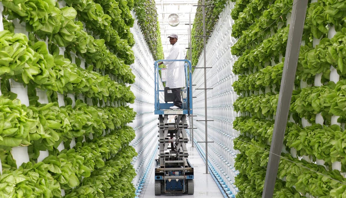 World Vertical Farming and Plant Factory Market Report by Growth ...