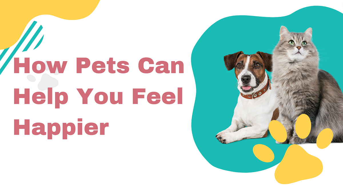 How Pets Can Help You Feel Happier | by Thomas Mitchell | Medium