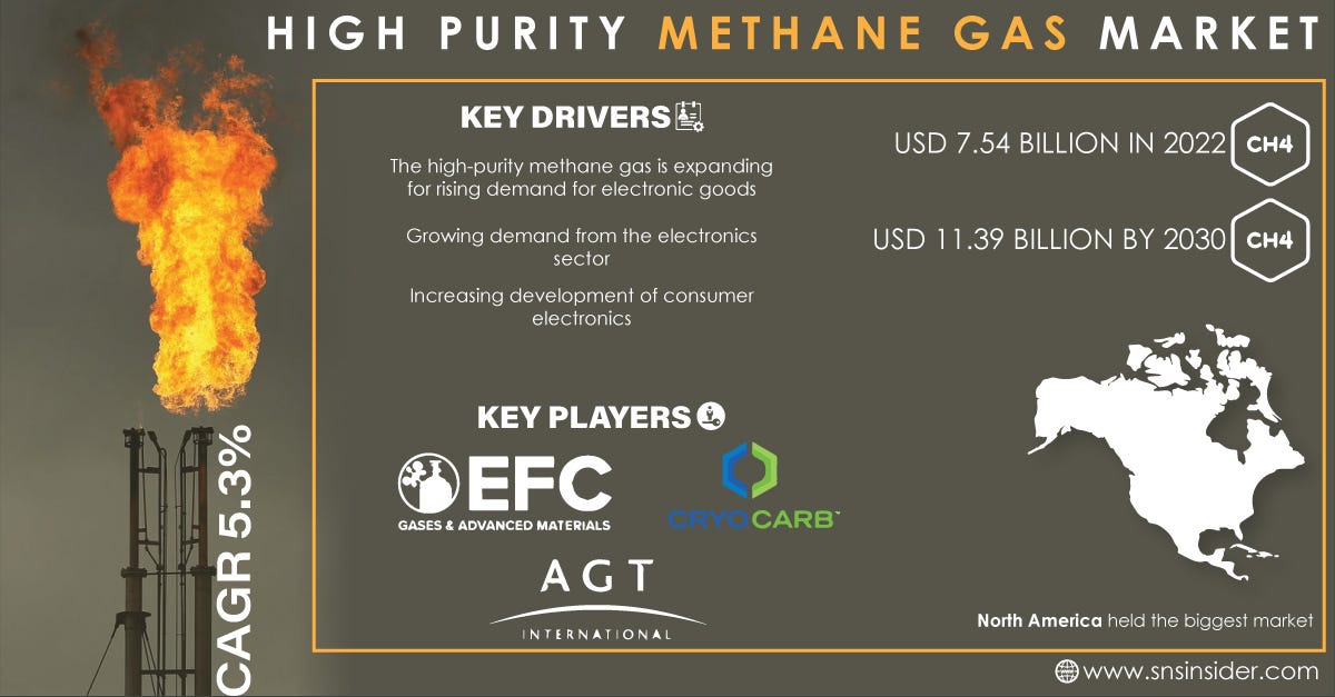 High Purity Methane Gas Market Business Insights and Trends Forecast by ...