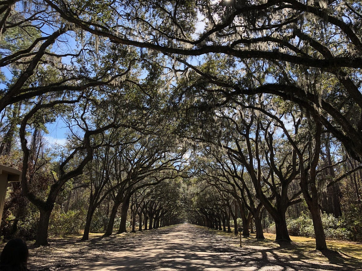 Getting codebar off the ground in Savannah | by Kevin Lawver | the codelog | Medium