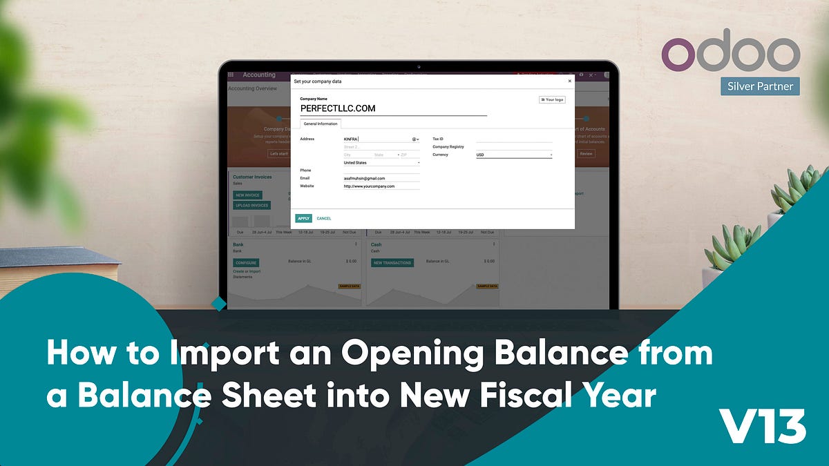 How to Import an opening balance from a balance sheet into a new fiscal ...