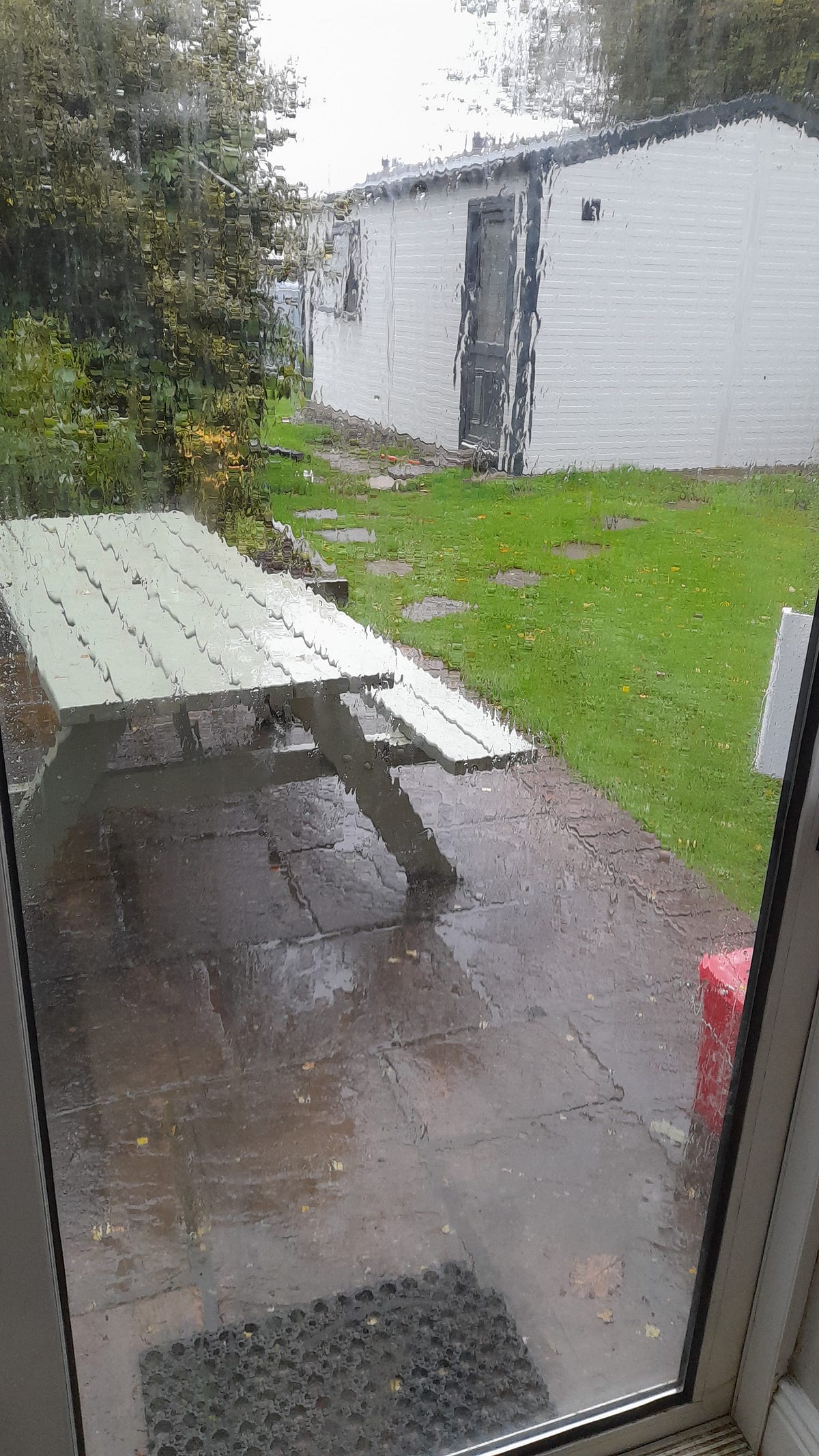 Lessons in Fear. It’s so true….feel the fear and do it… | by Norah Wyer ...