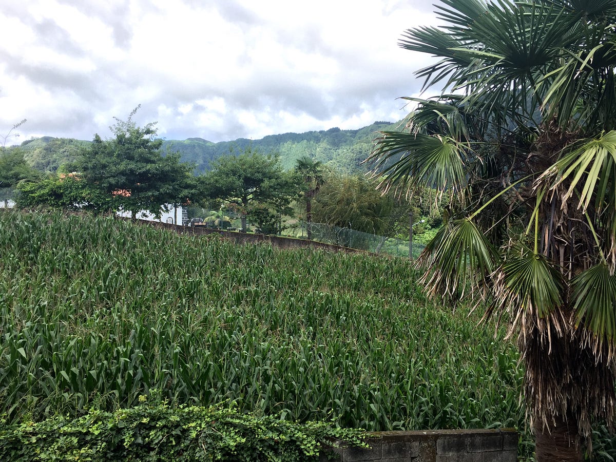 Azores — Day 1. … starts with | by Elena Theis | TinyTravels | Medium
