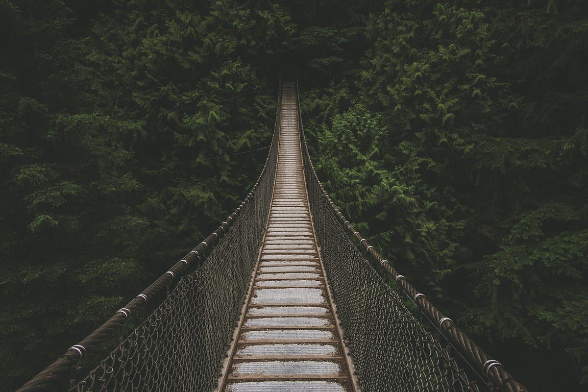 RDFox Beginner Cheat Sheet. Part Two: Legislate Technologies tips… | by ...