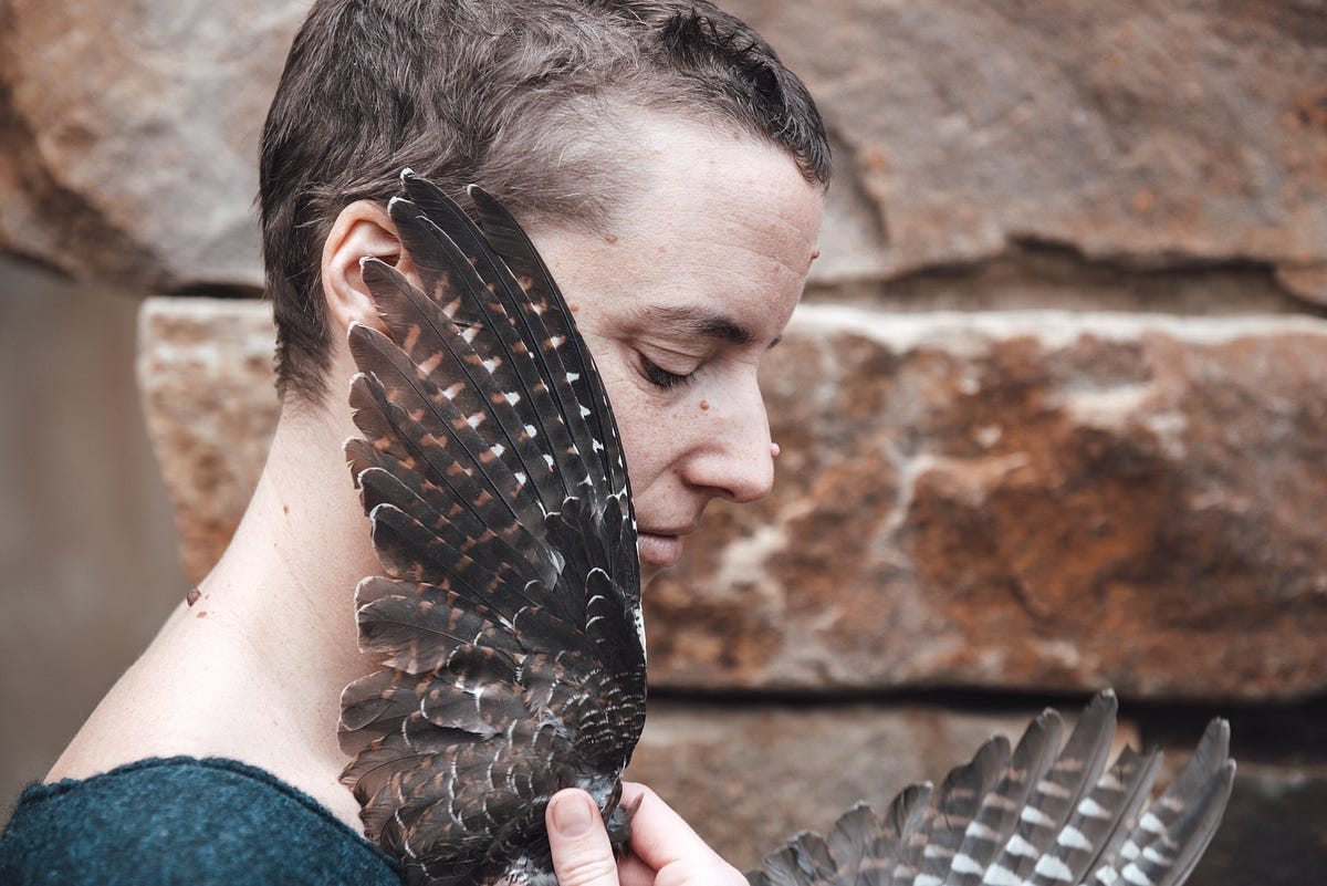 silent bird. valentine day’s hangover taught me… | by Joy Thunder | Mar ...