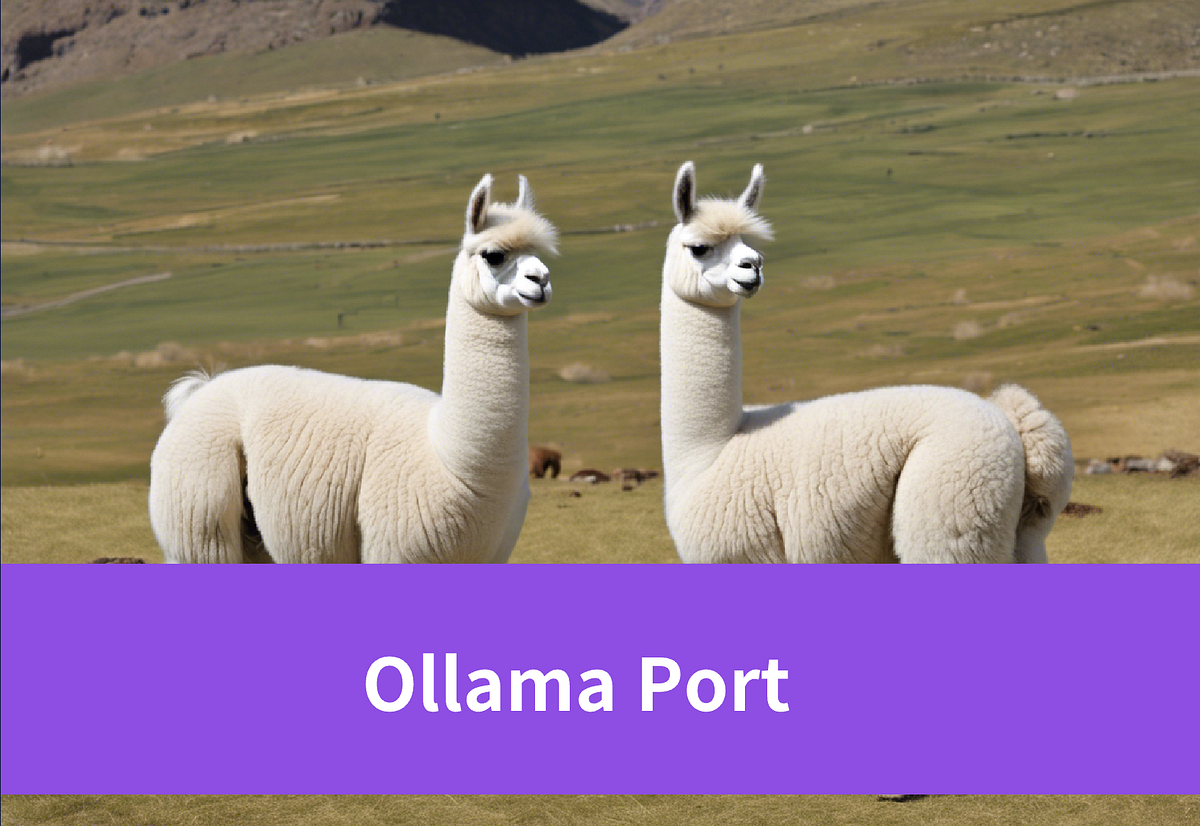 From Concept to Reality: A Guide to Efficient Ollama Port | by Novita ...