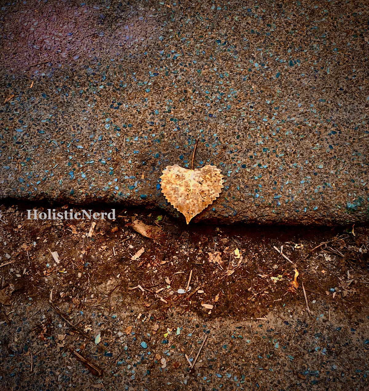 Links to all my stories/articles on Medium (2023) | by 'W'HolisticNerd ...