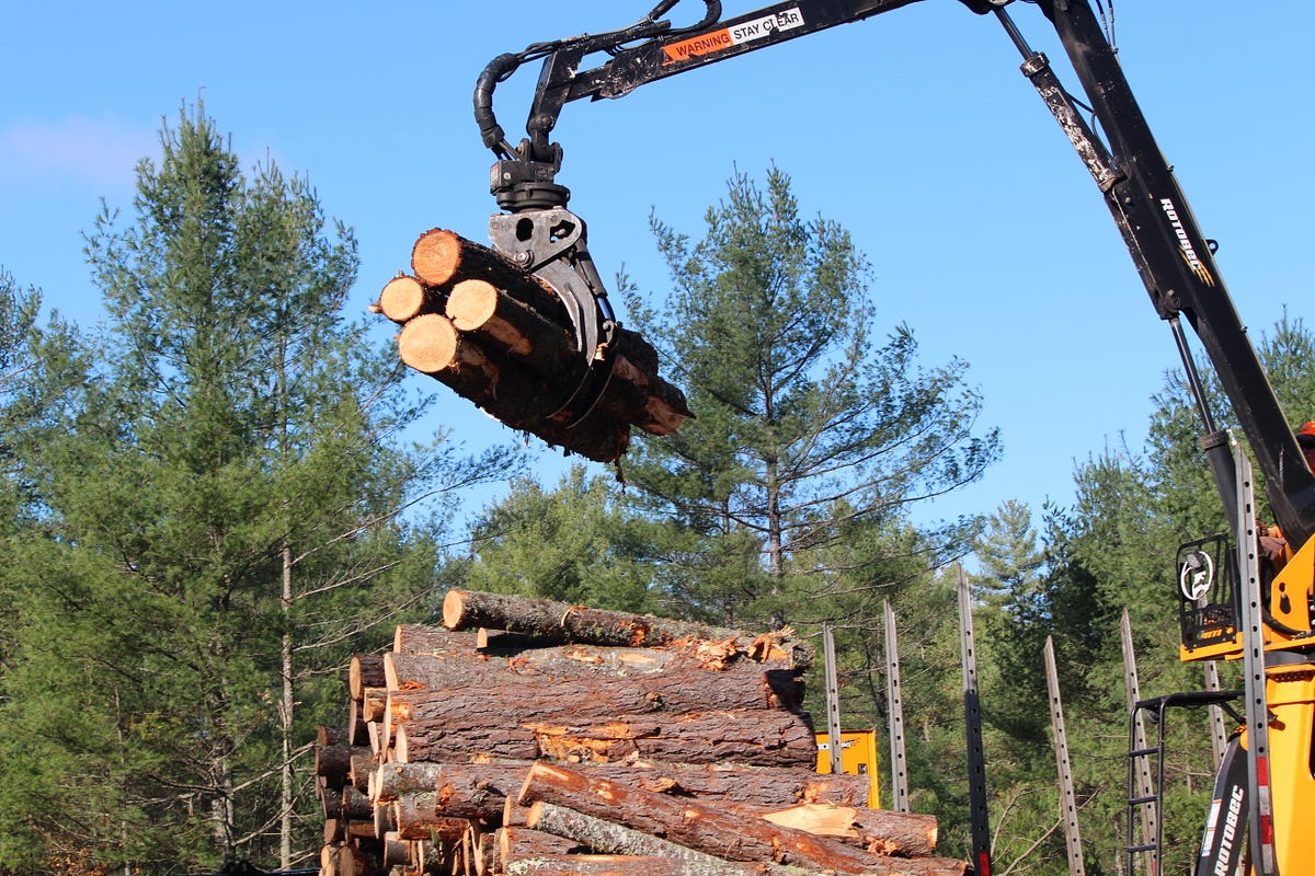 Professional Logging is More Than Cutting Trees | by Wendy A. Farrand ...