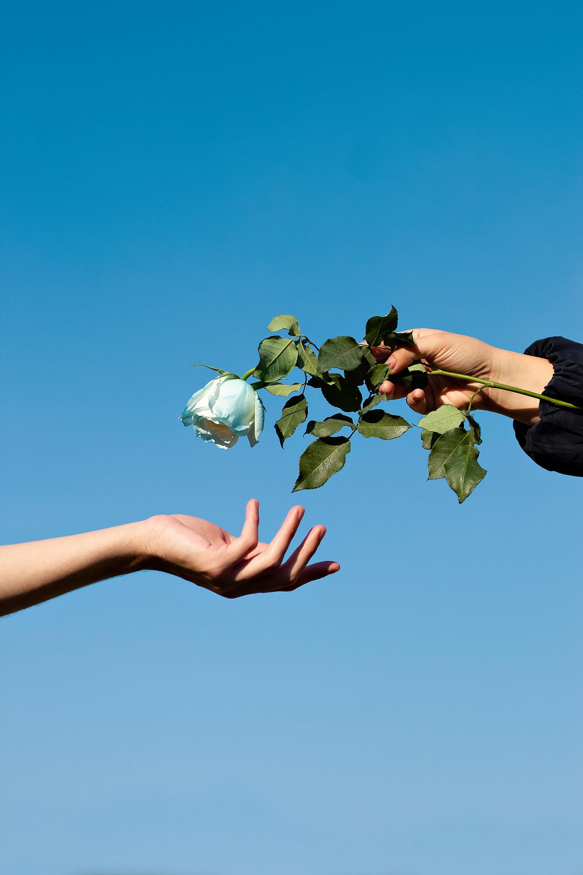 Protect Your Identity While Loving Someone Else! | by BowHunting By ...