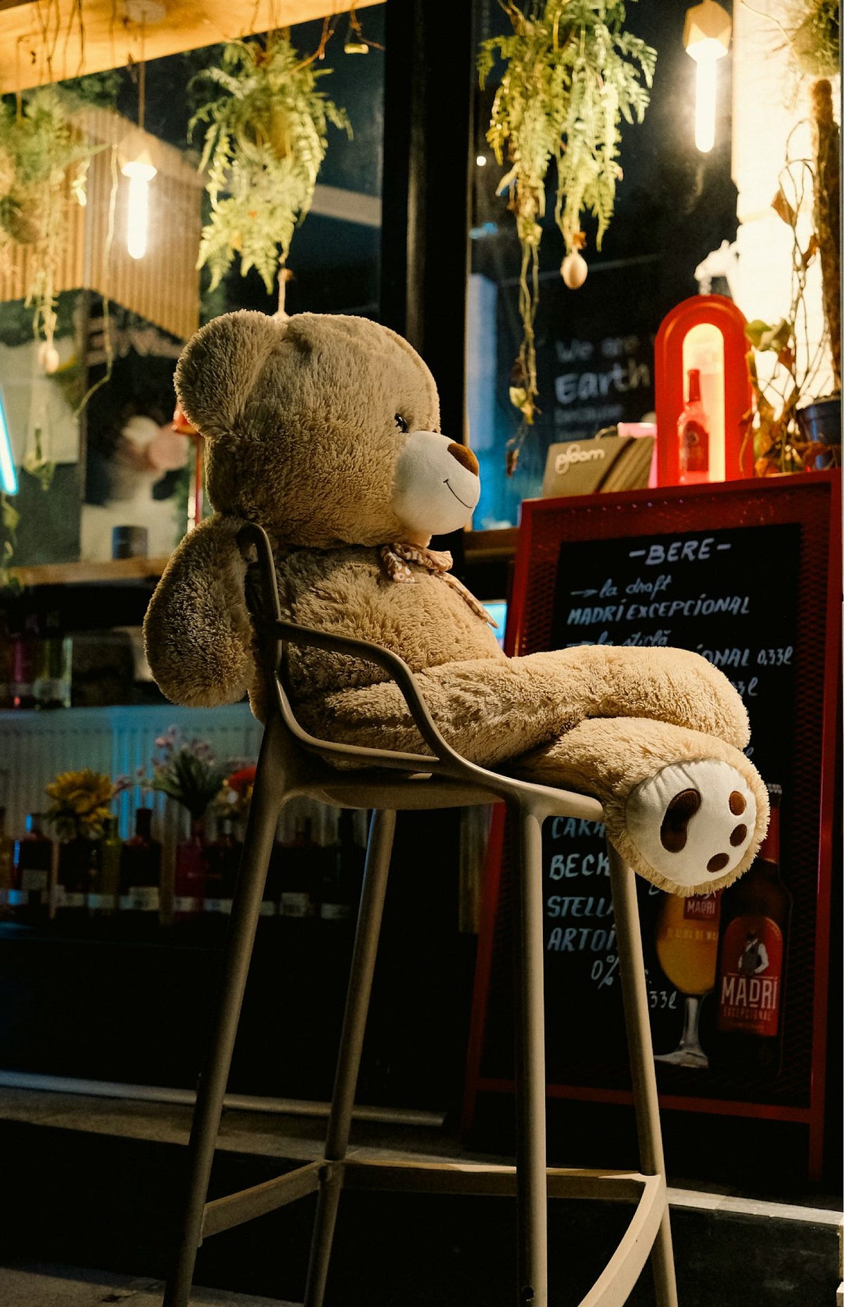 Why Some People Love to Have Teddy Bears | by Amna Imran | Be Open ...