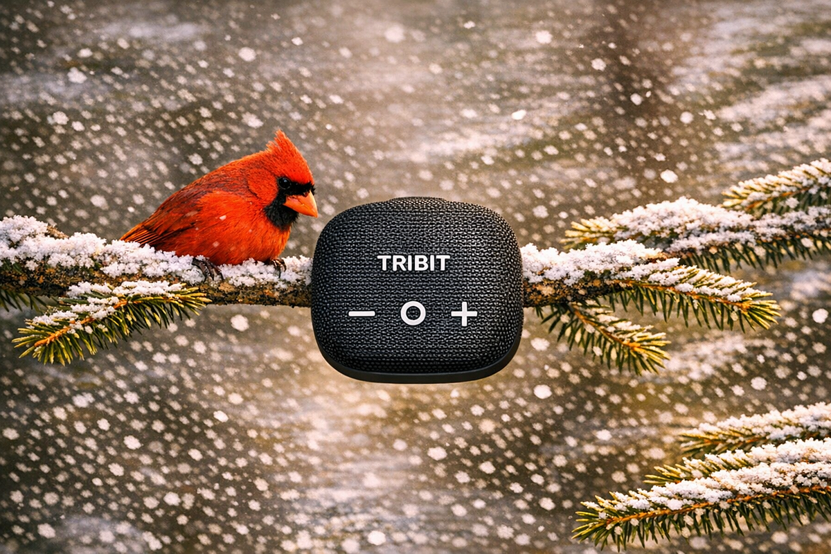 Review of the TRIBIT StormBox Micro 3 Portable Speaker | by Walter ...