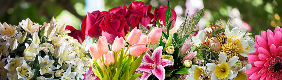 The Ultimate Floral Guide: Top 10 Flowers to Buy in Singapore for Every ...