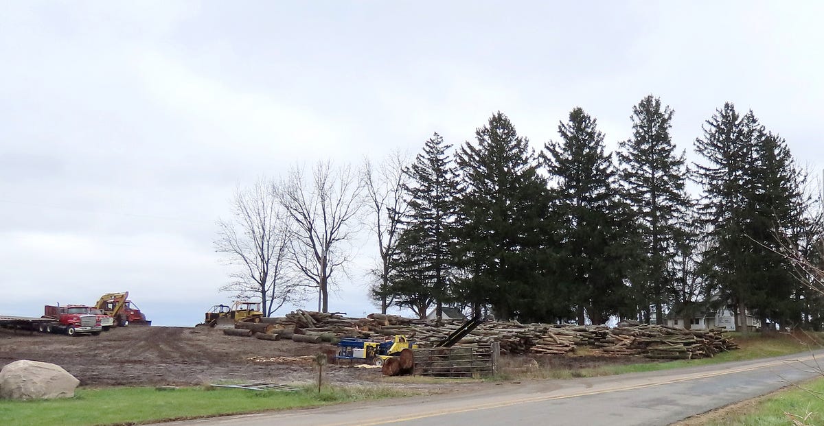 Michigan Lumber is Waiting. The View from Here 3–9–25 | by Dawn Ulmer ...