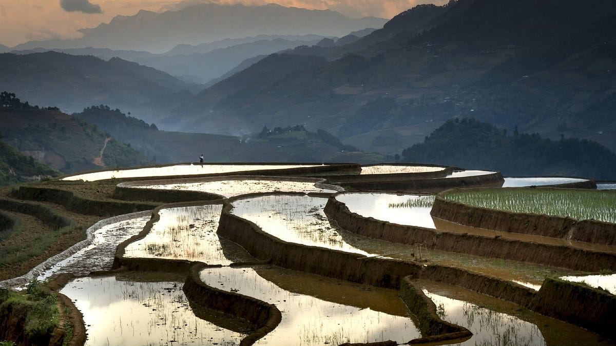 Nature and Civilization. Erald Kolasi questions energy, entropy… | by ...