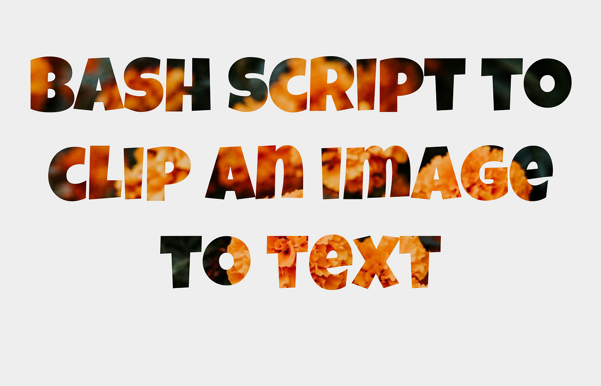 Bash Script to Clip an Image to Text | by Shinichi Okada | mkdir ...