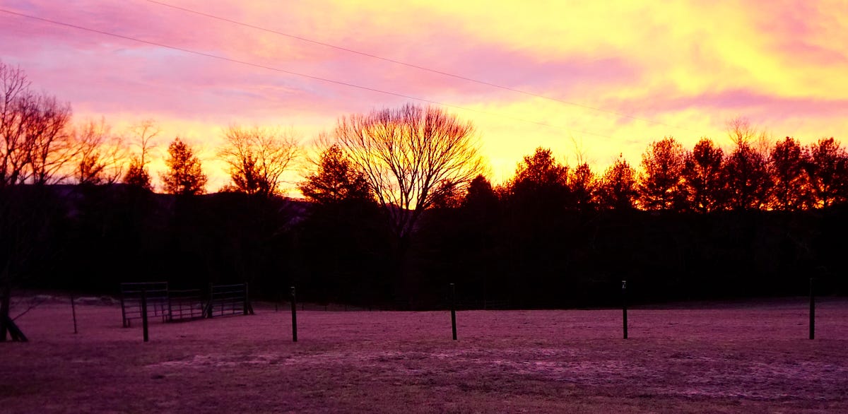 A Prayer to Begin Your Day - Doris Rouse - Medium