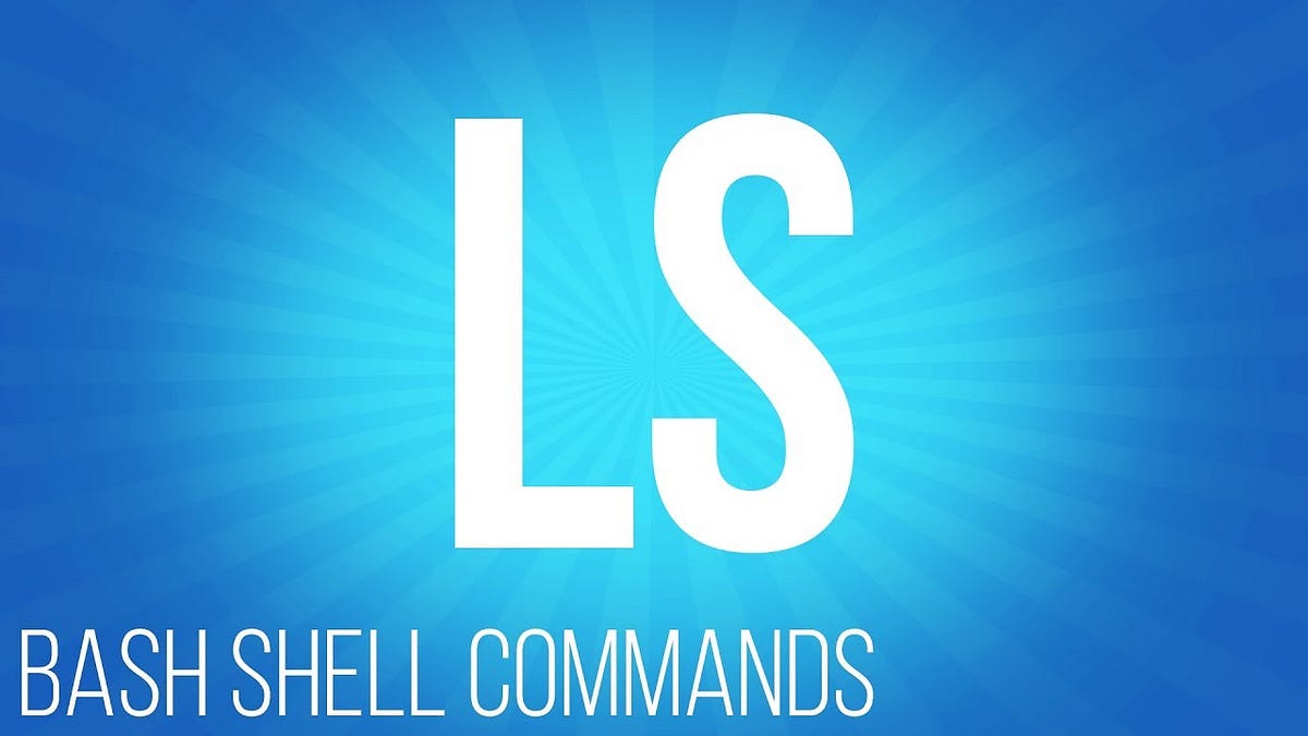 What Happens When You Type Ls L In The Shell By Julian Villegas Basics Full Stack