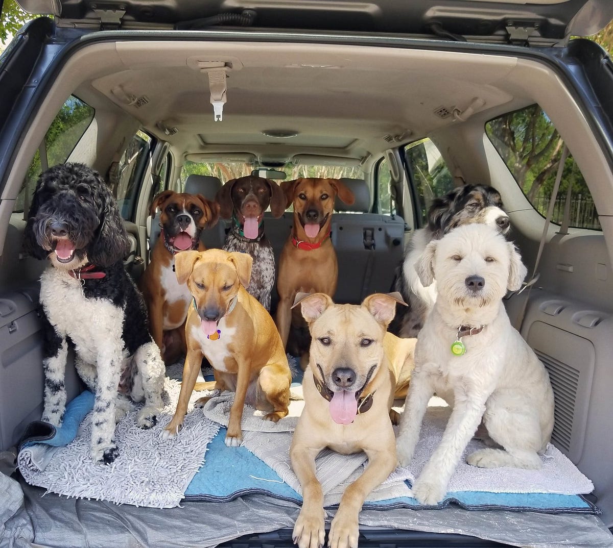 How to unload from the car. If you follow us on social media, you… | by ...