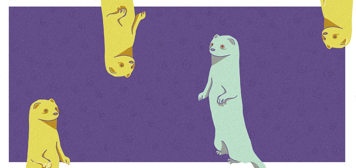 What’s the Deal with the Danish Zombie Minks? | by Sarah Falck | Medium