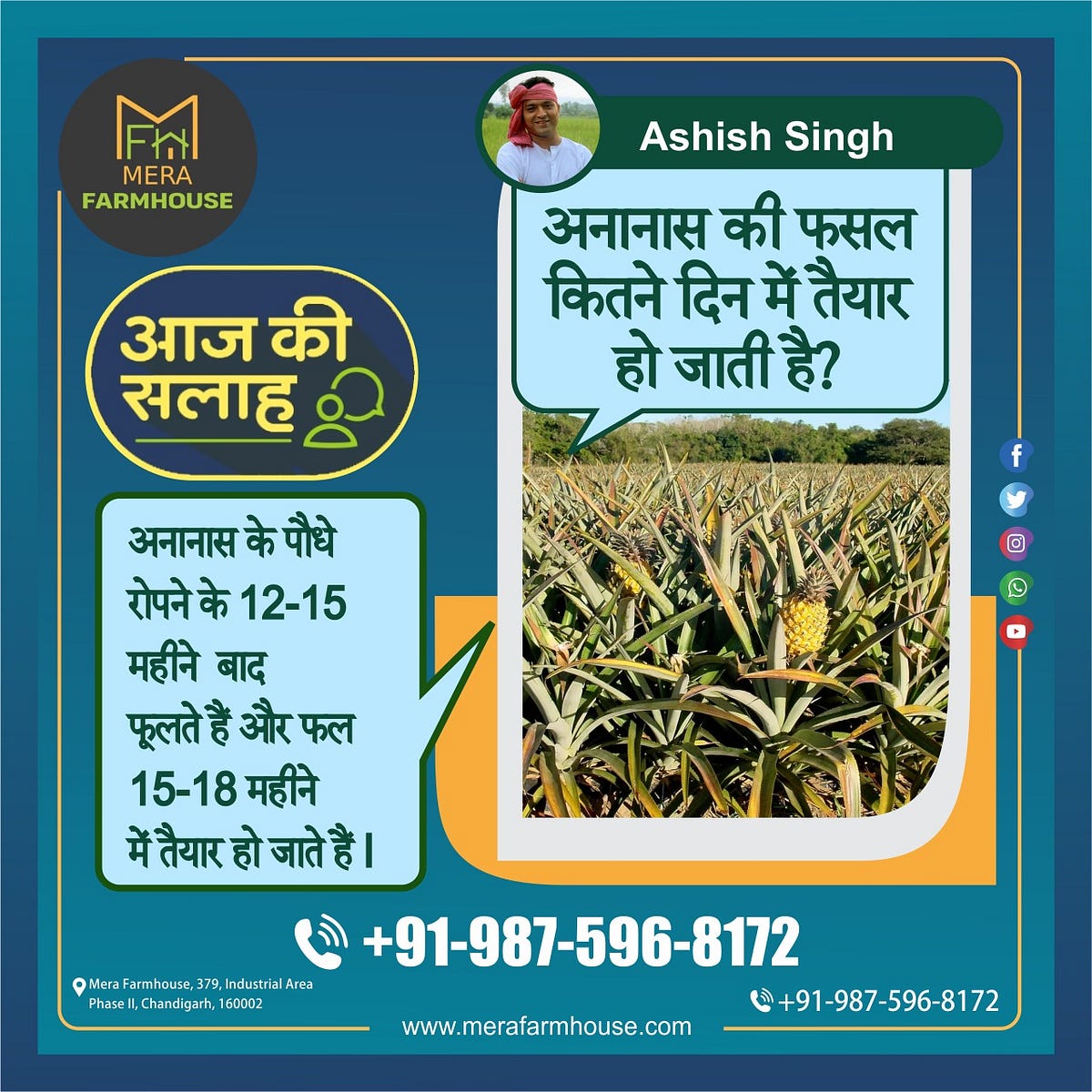 Looking for Agriculture advice? - Merafarmhouse - Medium