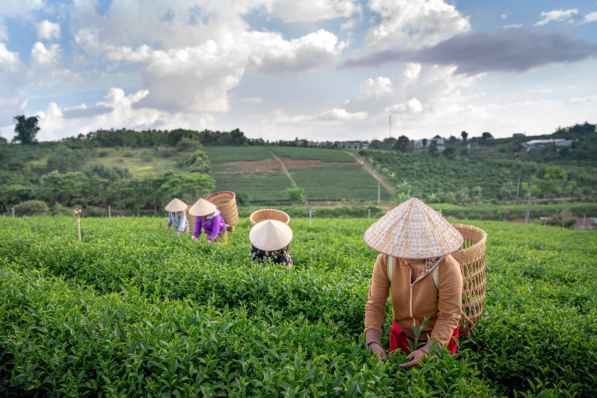 How to Travel like a Local and Experience Your Destination to the ...