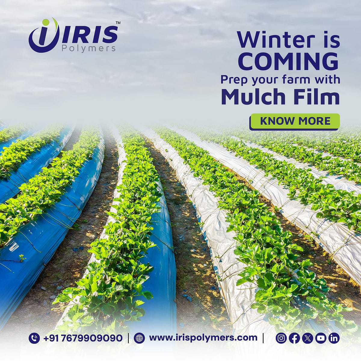 Transforming Agriculture: IRIS Polymers’ Leading Mulching Films in ...