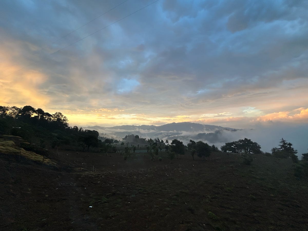 Back to the Basics: Where My Roots Run Deep | by Ronaldo Villeda | Jun, 2025 | Medium