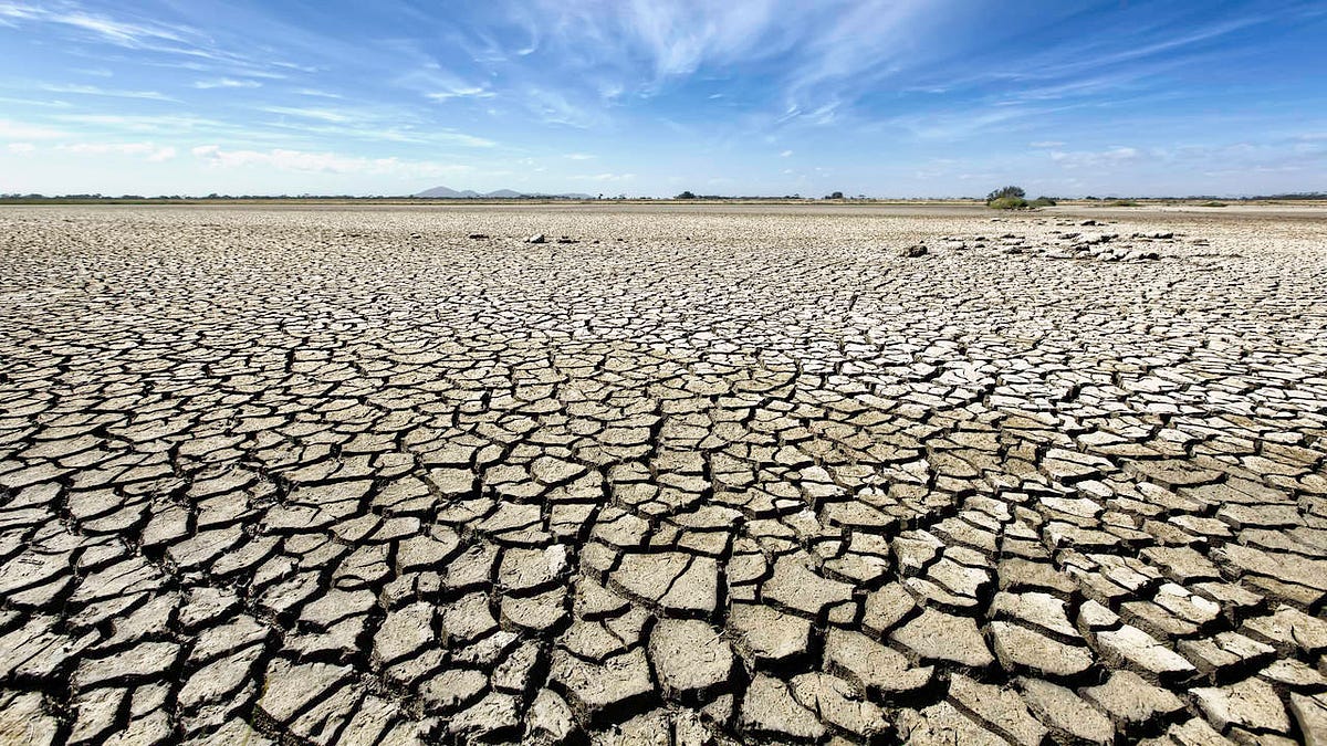 5 Signs You’re Not Drinking Enough Water | by Lori Shemek, PhD | Medium