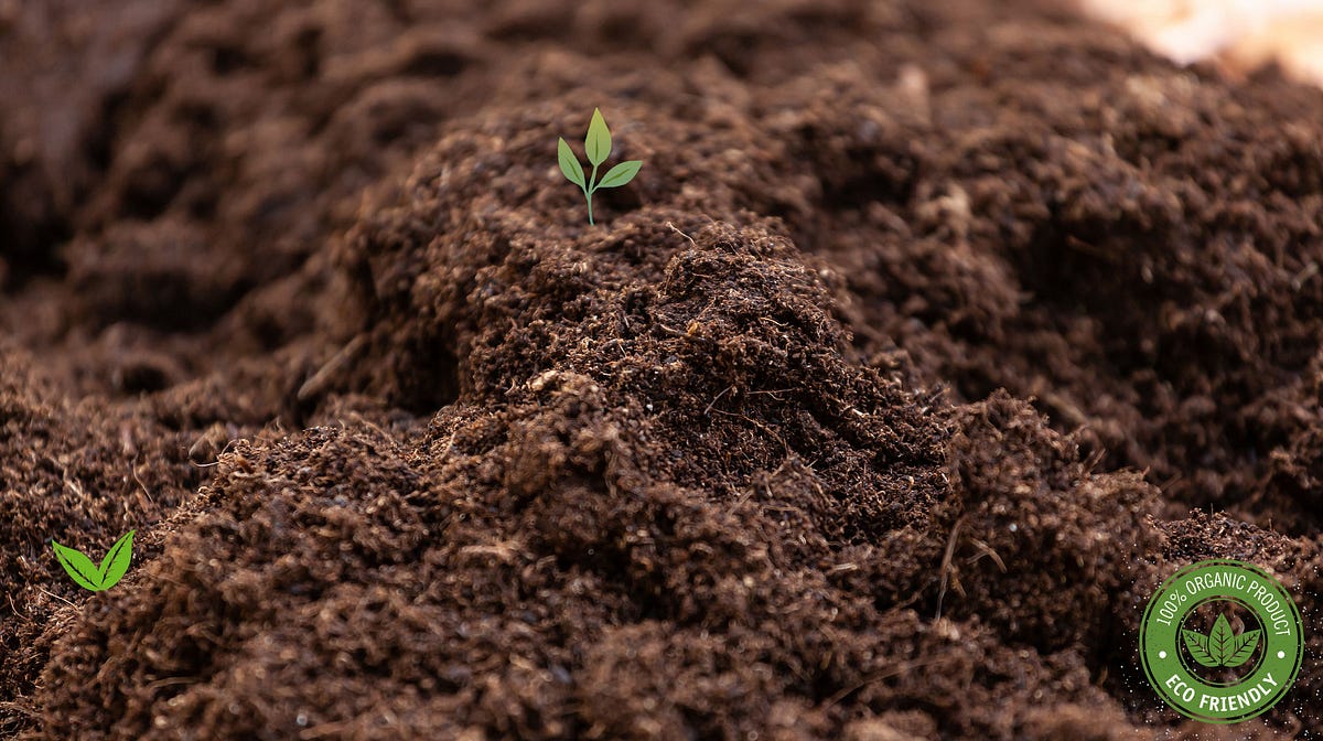 How to Invigorate Your Garden with Organic Compost Soil | by Florida ...