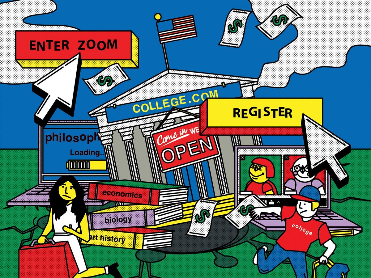 The Covid-19 College Gap Year Exposes a Great Economic Divide | by ...