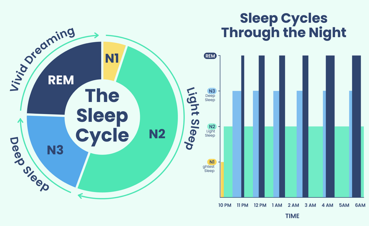Why do we sleep? | by Rakan Khaled | Health, Wealth, and Peace of Mind ...