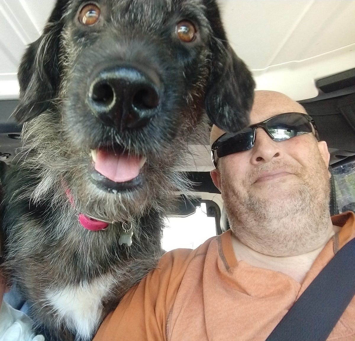 Let Me Re-Introduce Myself. Hi, I’m Mike, and I am the main voice… | by ...