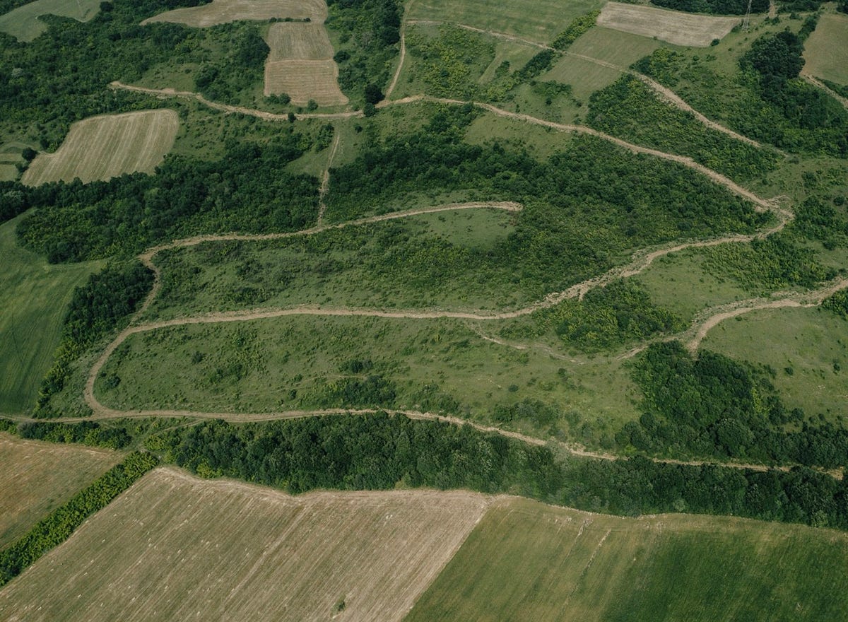 Monitoring Reforestation Success Through Space | by Anastasia Sarelli | cloudeo stories | Medium