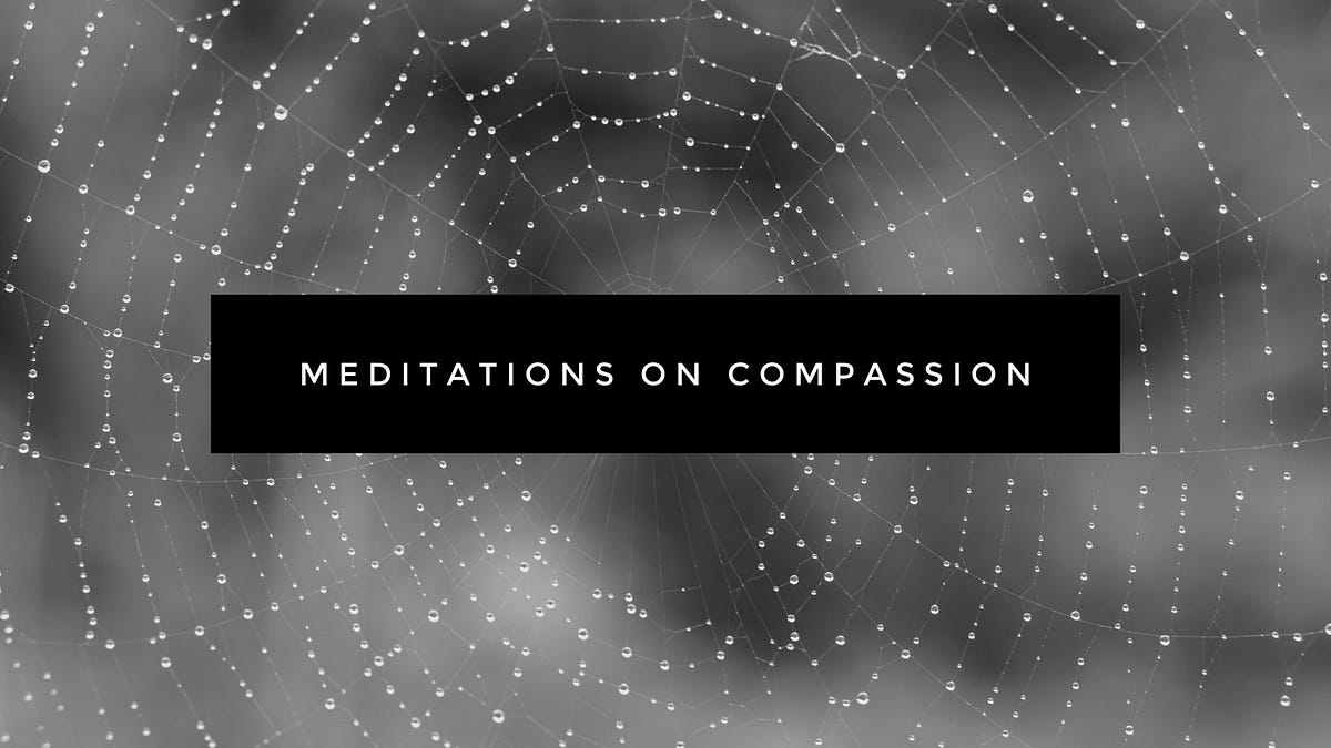 Meditations on Compassion. Why did I care so deeply about the… | by ...