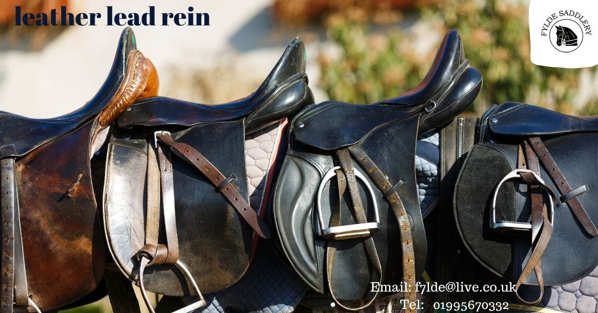 Leather lead rein at Fylde Saddlery - Horseridingequipment - Medium