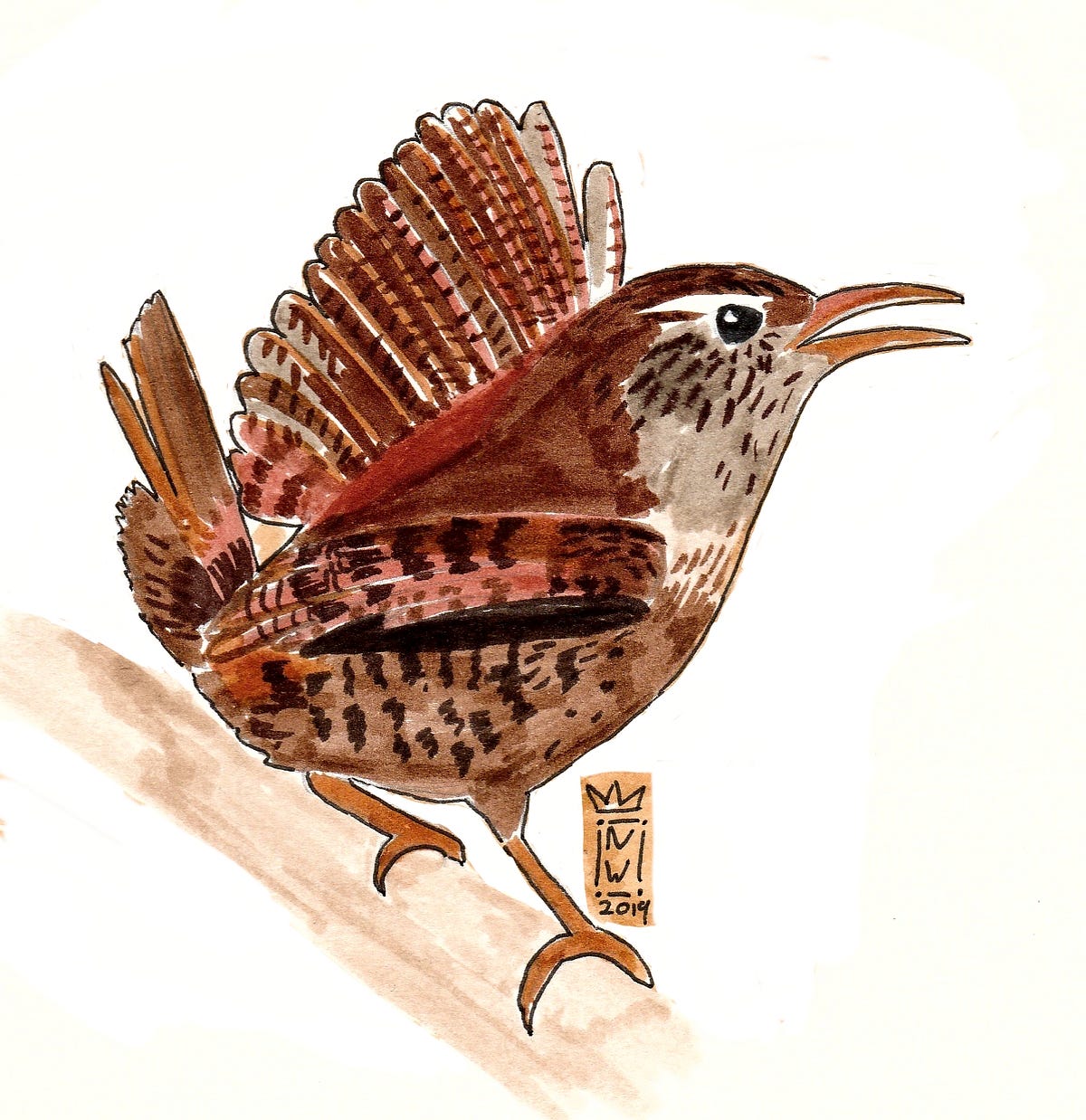 The Day I Became a Wren — One Year On | by Miss Wren | Medium