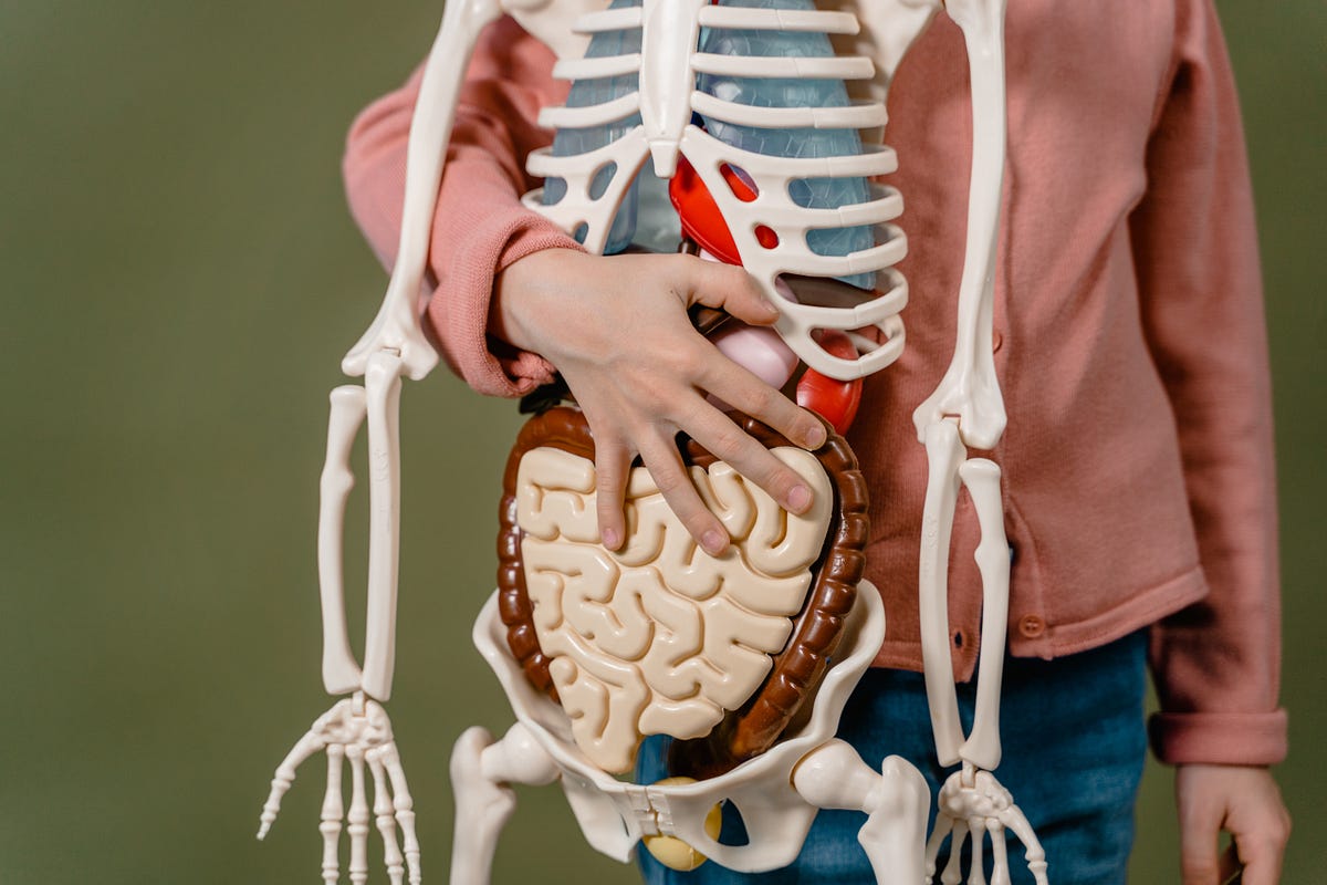 6 Ways to Improve Your Liver Health | by Polly Robbins ...