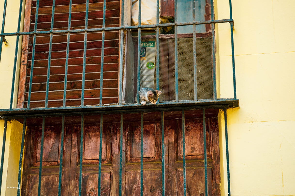 Living ‘Messy’ Through Nurturing Curiosity | by MESS IN PERSPECTIVE ...