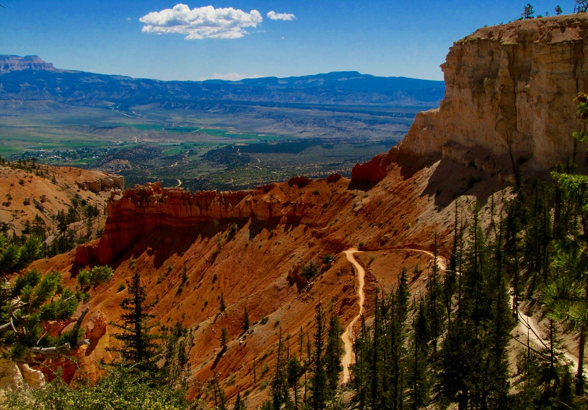Embracing the Highs and Lows of Life: A Guide to Resilience | by ...