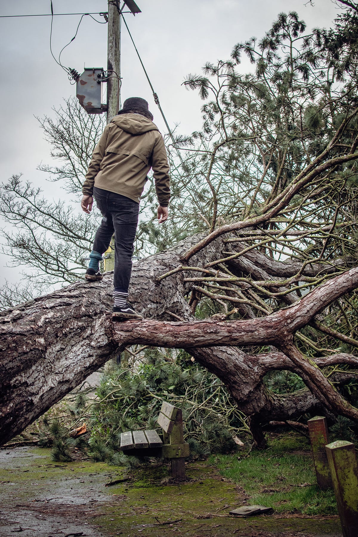 Melancholy Part II. Destruction and Hope | by Laura DeMaisBerg | Contemplate | Medium