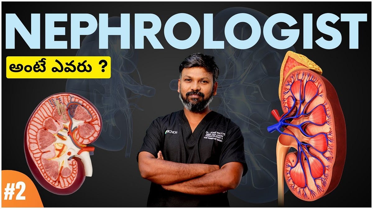 Demystifying Nephrologist from a Urologist | Who is What & What They Do ...