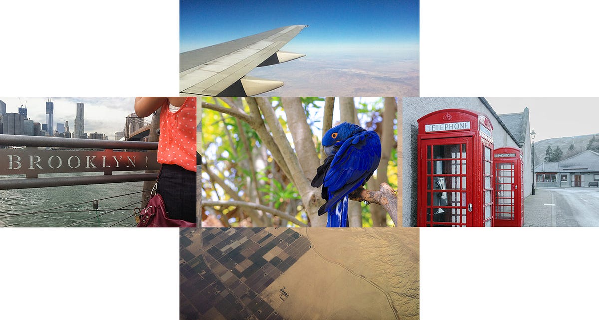 Late to the Party Photos. March 2024 Edition, 52-Week Photography… | by Rachel Wickremasinghe ...