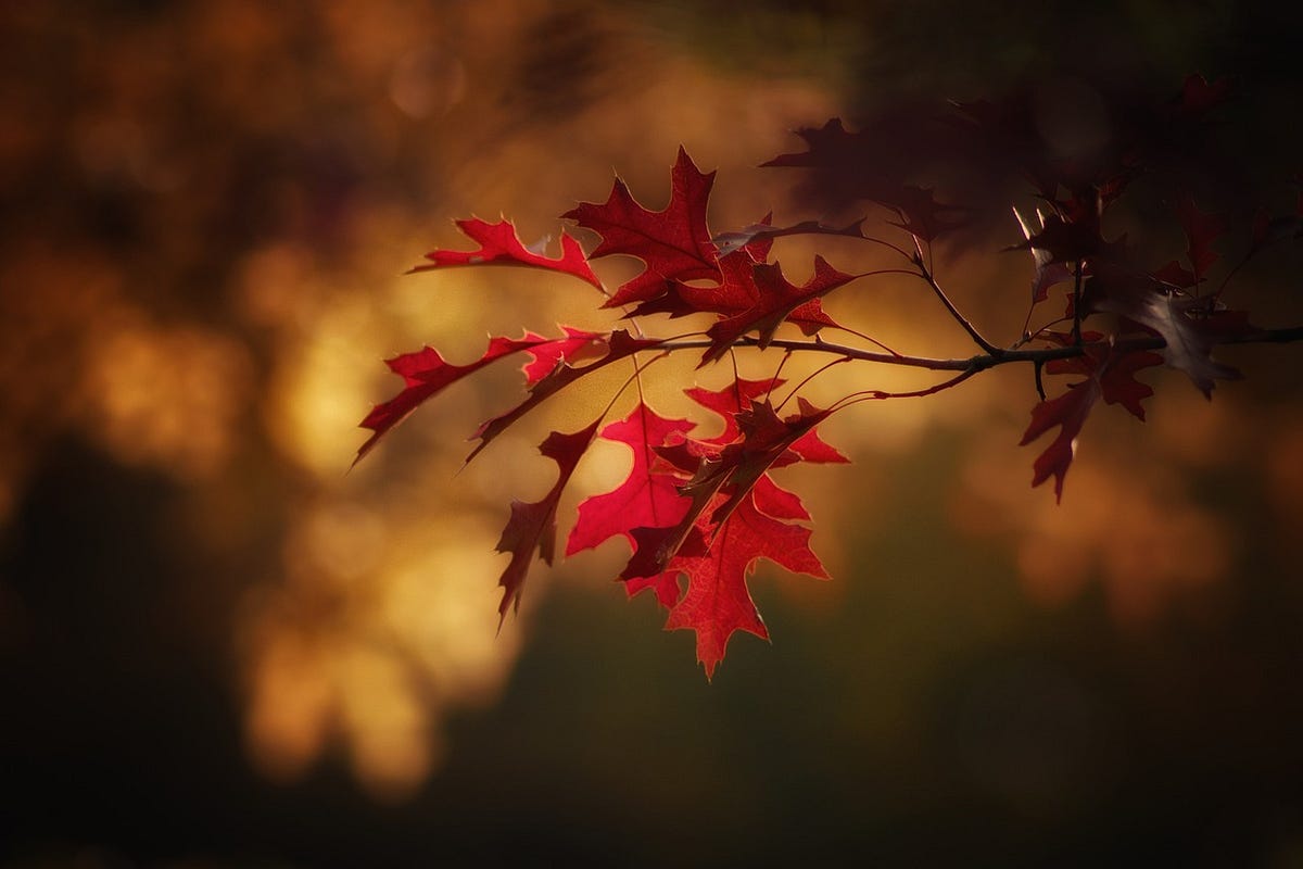 September Passed Away And just like that September passed away with ...