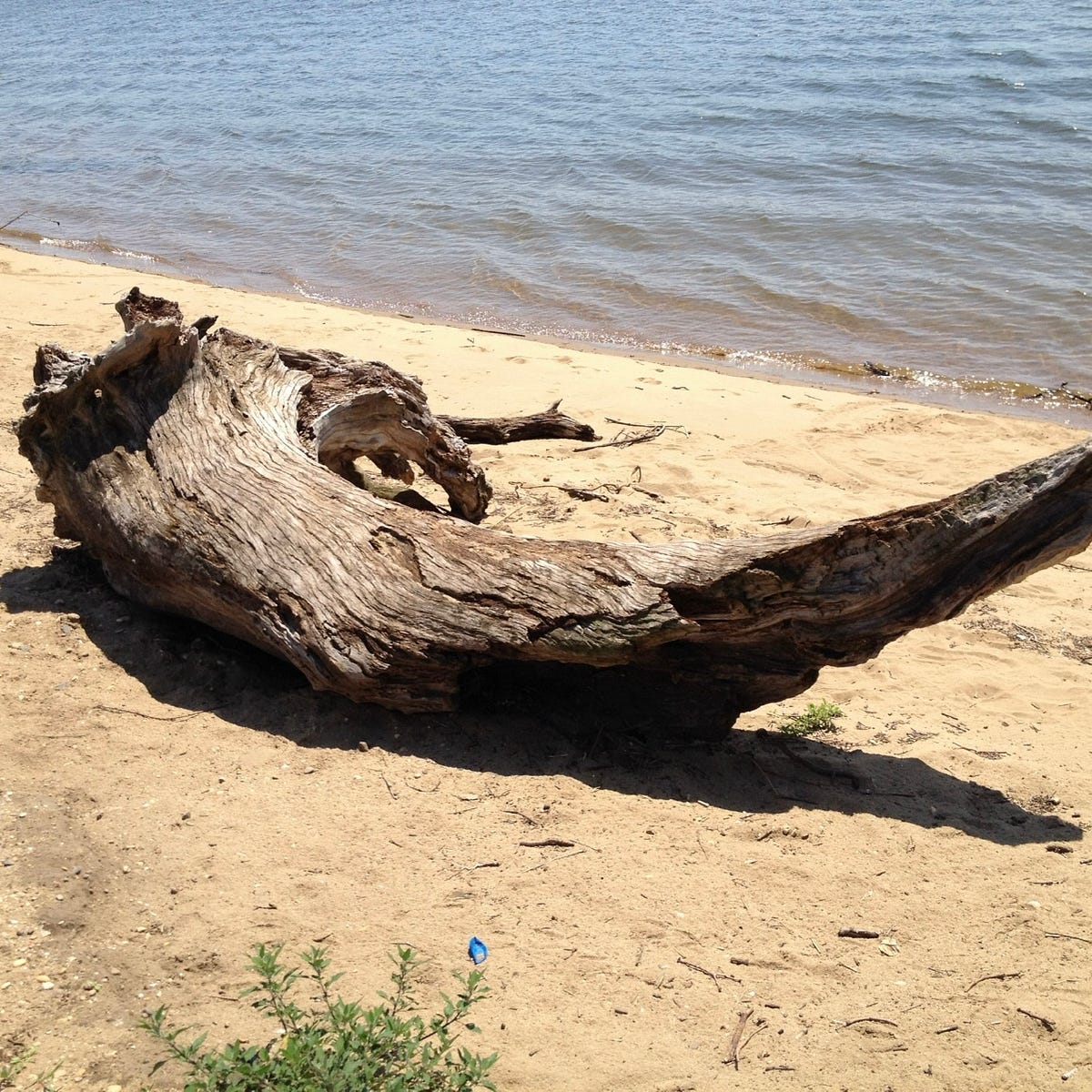 City by the Delaware River. Where I drifted and almost disappeared | by ...